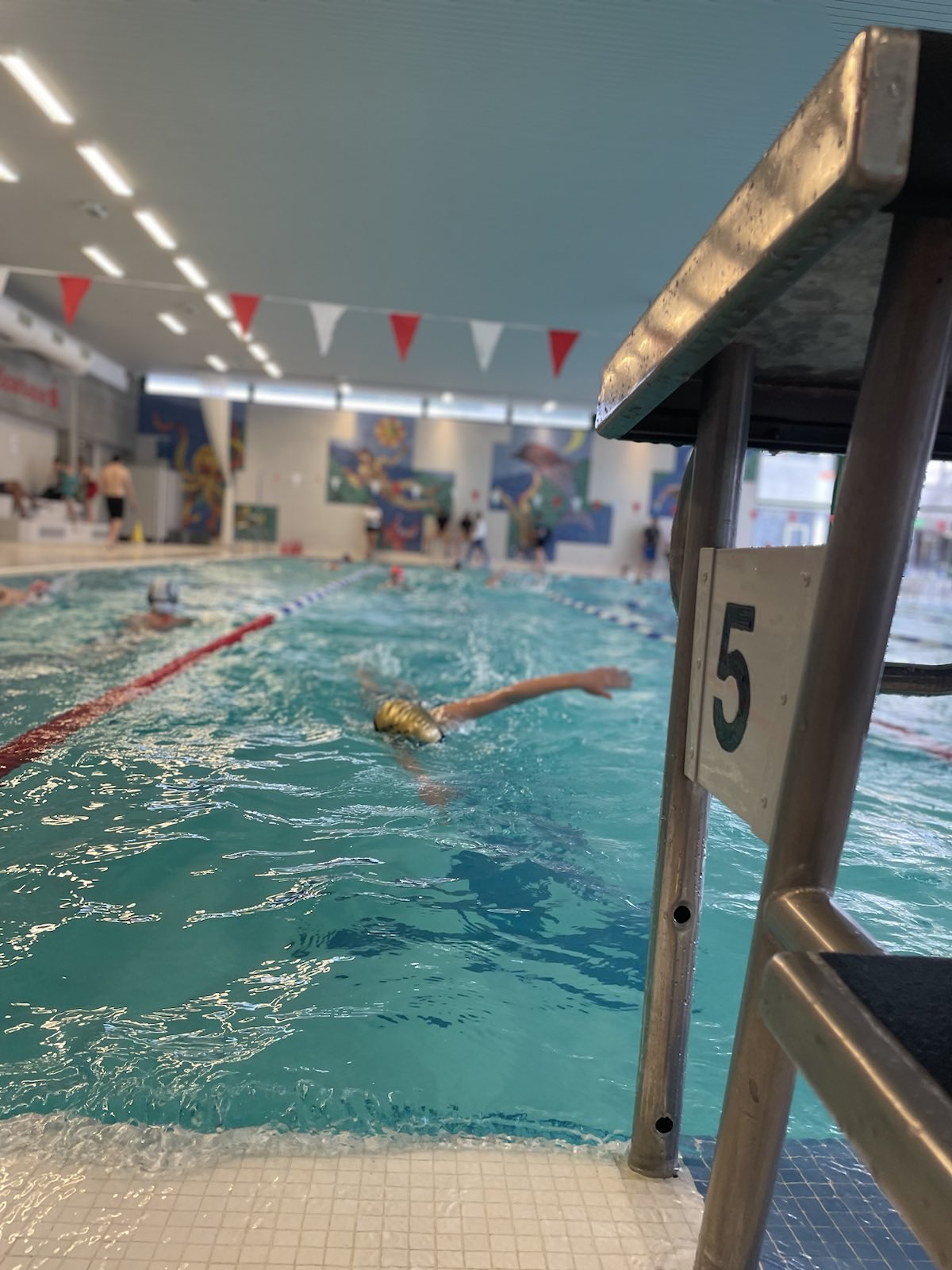 APIAN Gymnasium - Apian holt zweifach Gold im Bezirksfinale - Ingolstadt