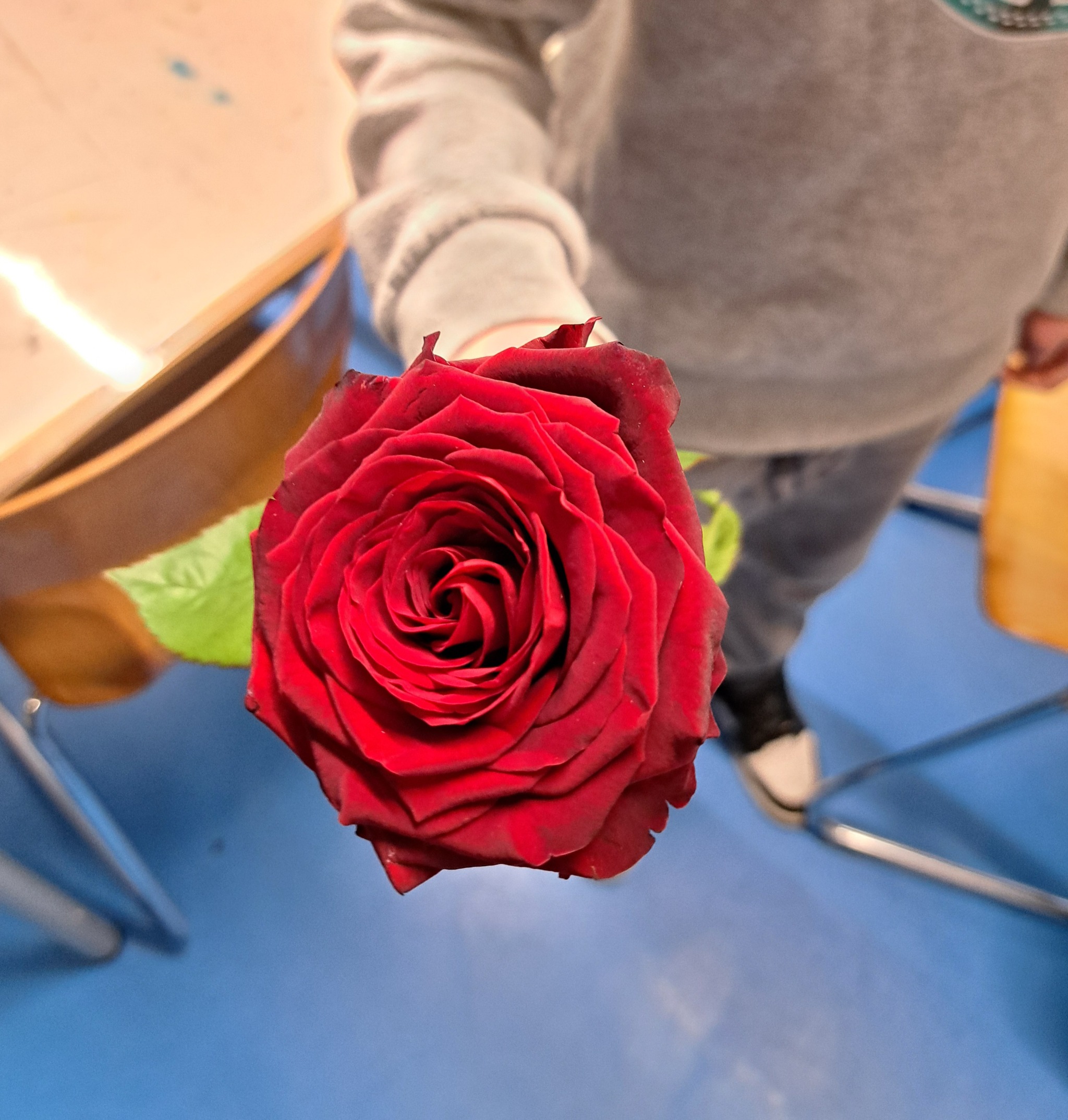 APIAN Gymnasium - Zwischen "Marry me" und "Ti amo" - Valentinstag am ...